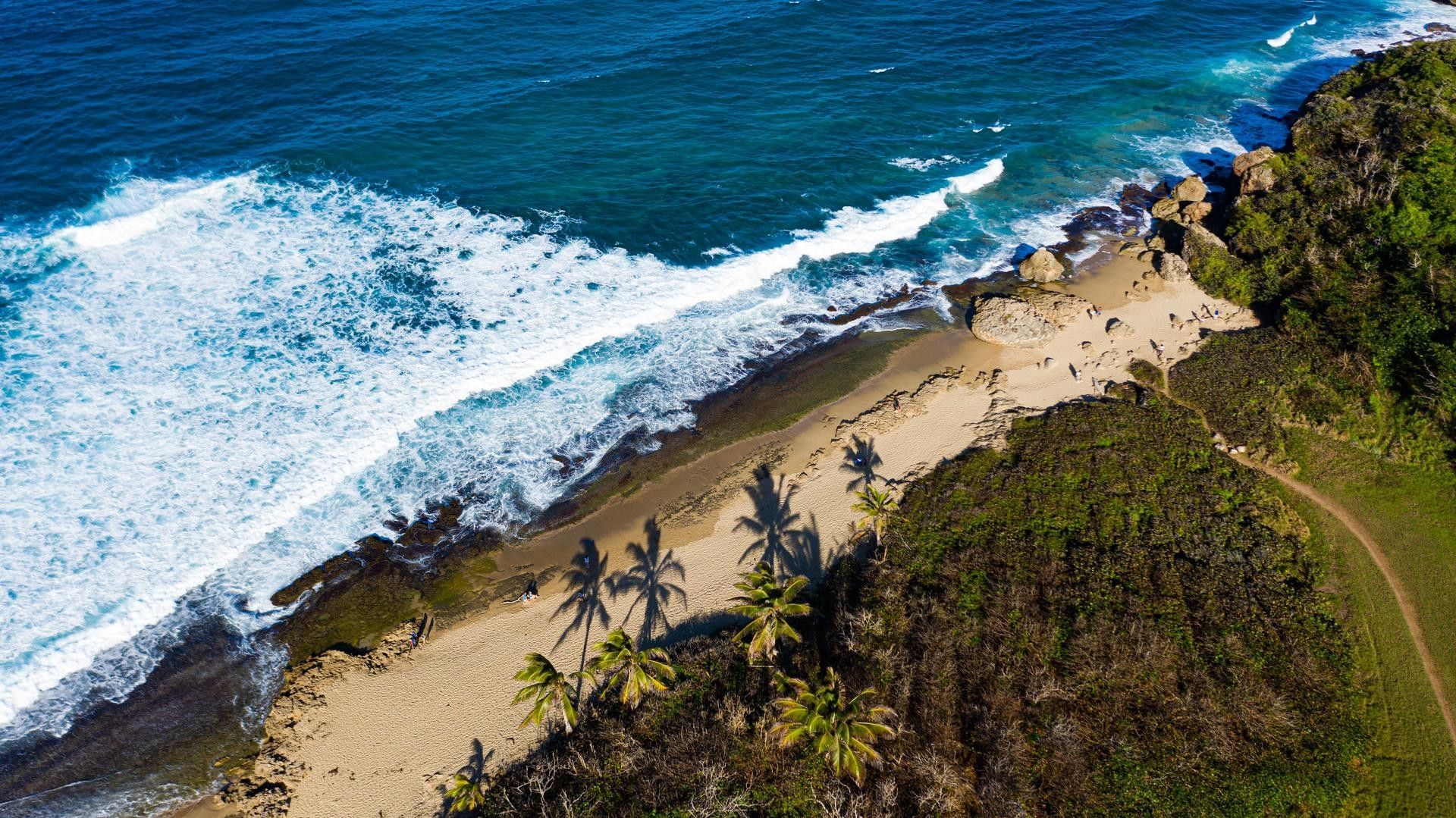 El Pastillo Conservation Trust | Royal Isabela