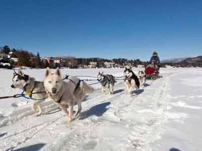 Thunder Mountain Dog Sled Rides | High Peaks Resort