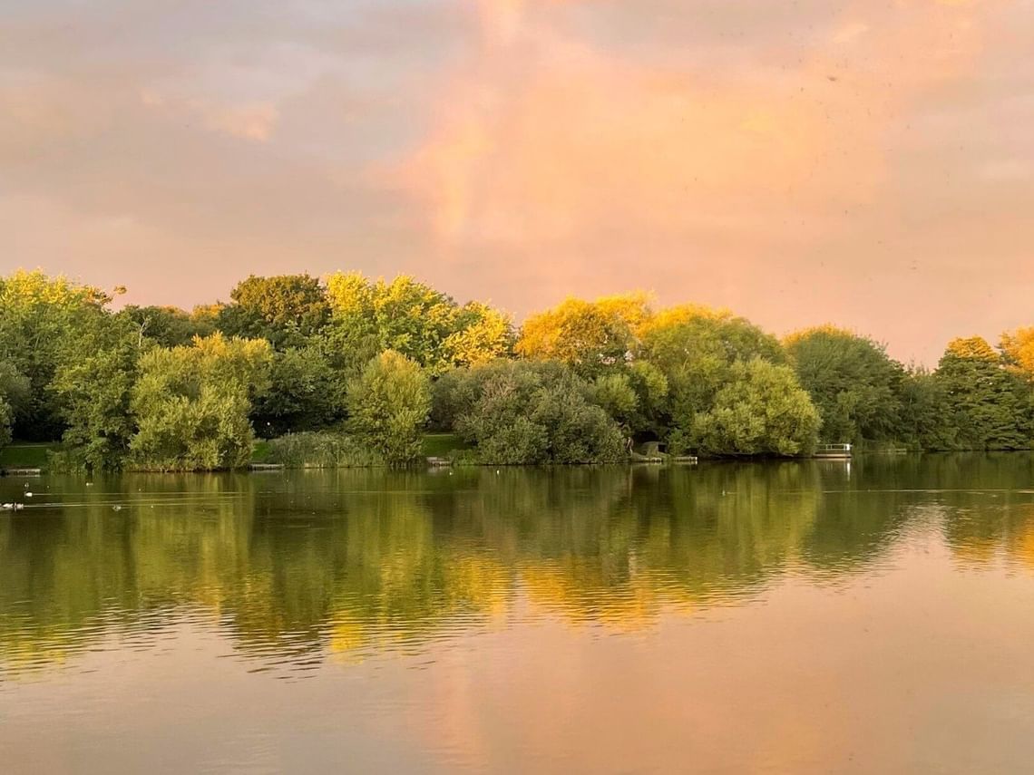 Goldsworth Park Lake
