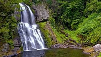 Best Hiking Trails in Poconos | Cove Poconos Resorts