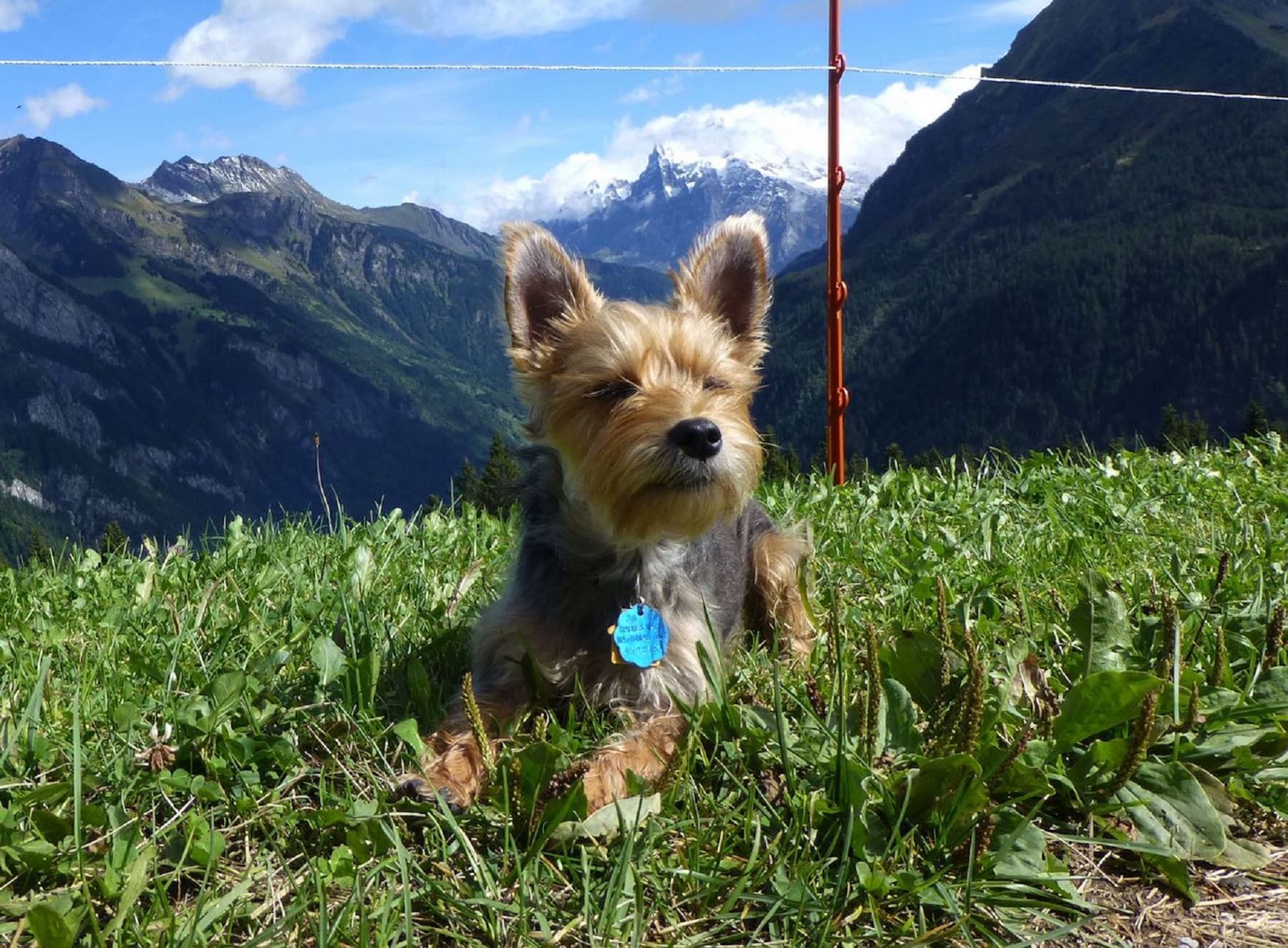 The Manchester View - Hotel In Manchester VT