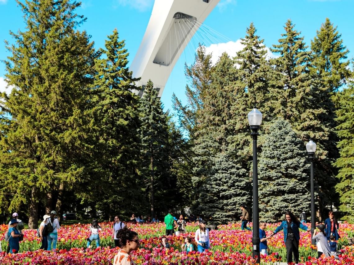 Space for Life Museum (Biodome, Planeterium, insecterium & Botanical ...