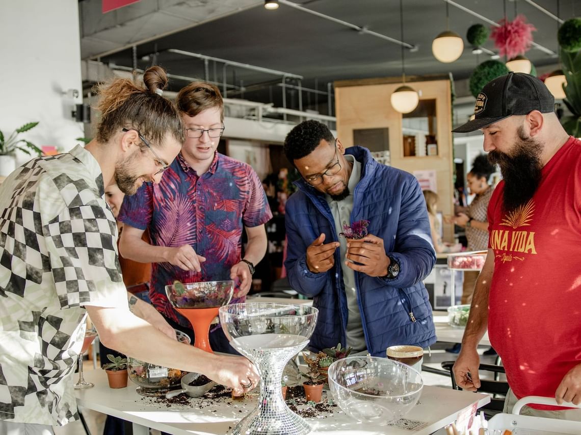 GROW Plant Bar | Things To Do In Wichita