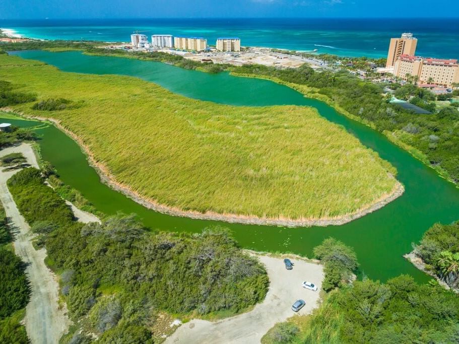 Experience Aruba’s Charm at MVC Eagle Beach Resort