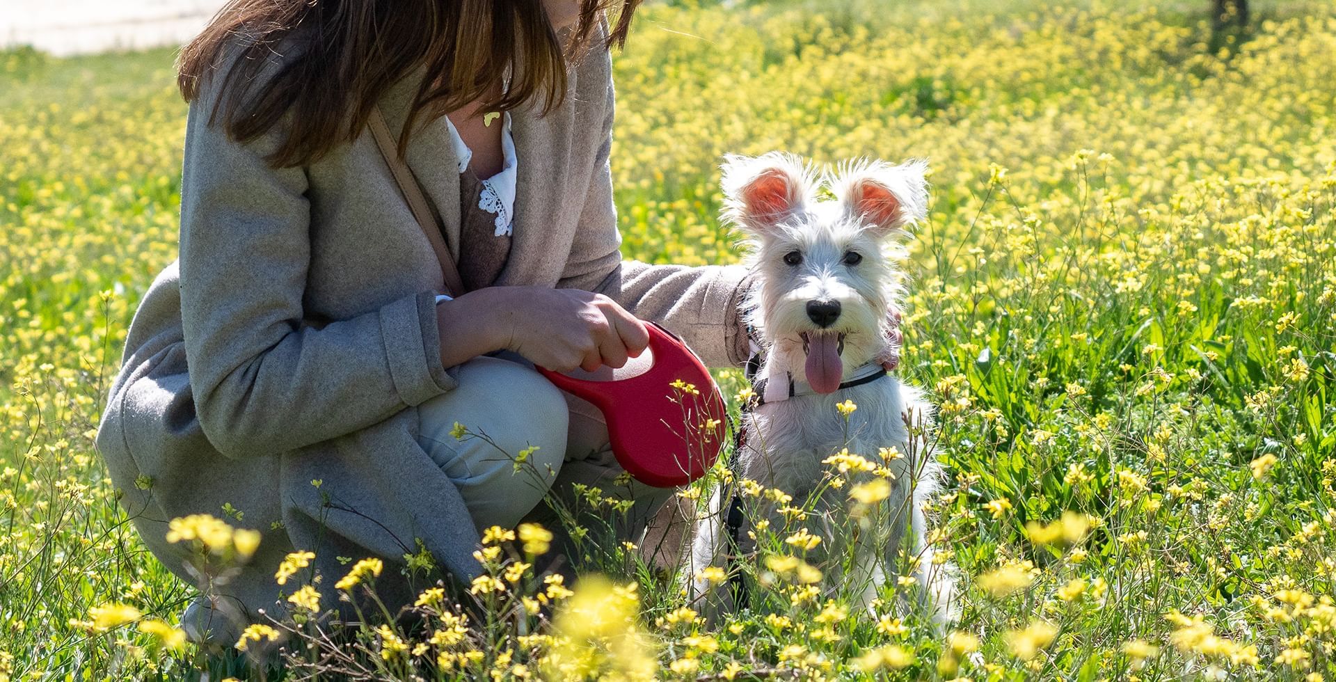 Pet Friendly hotel in Sechelt, BC | The Oceanside, a Coast Hotel