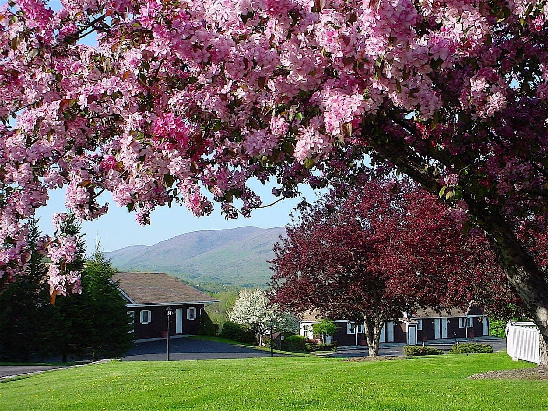 The Manchester View - Hotel In Manchester VT
