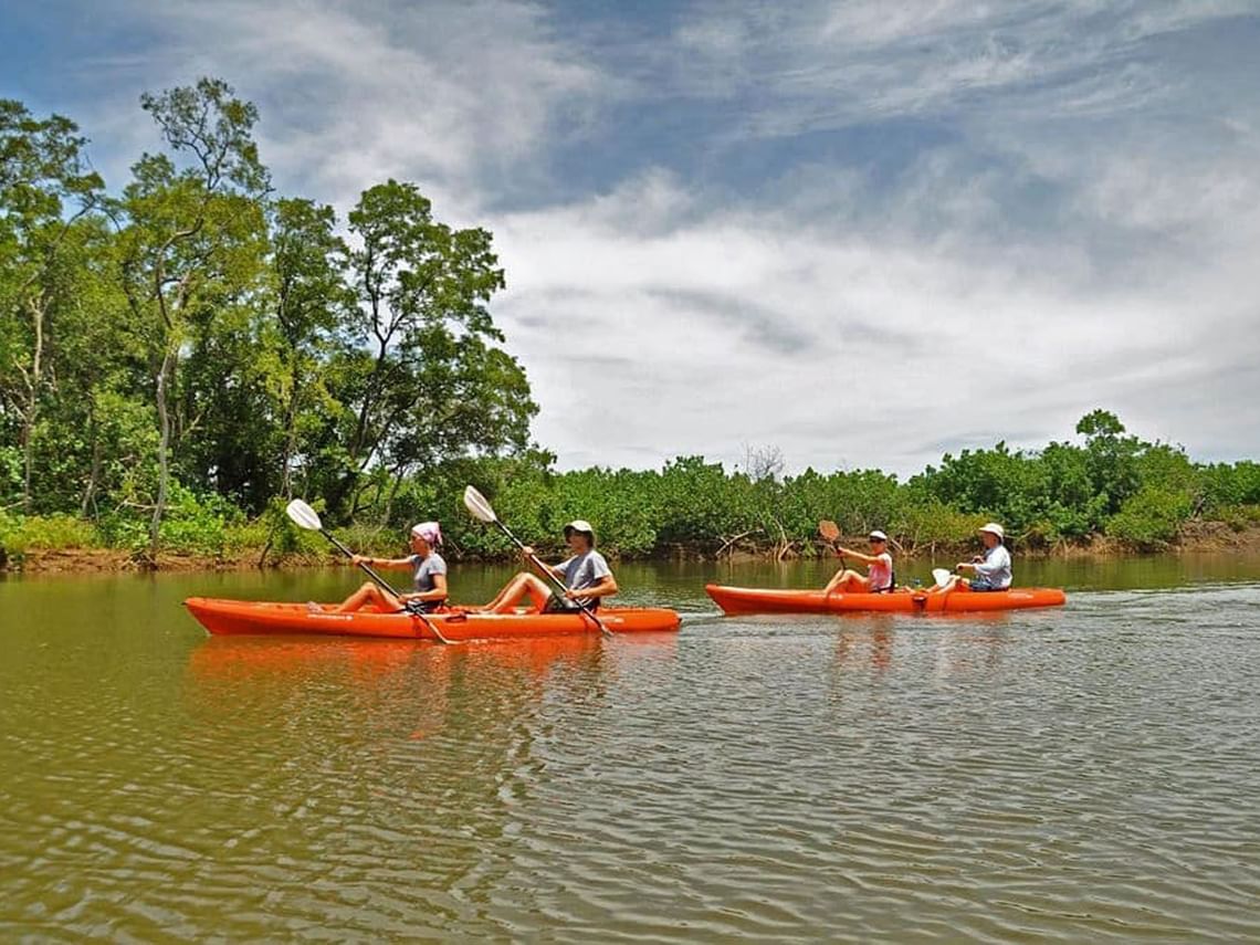 Boca Nosara Wildlife & Birding Kayak Tour | Tierra Magnifica Hotel