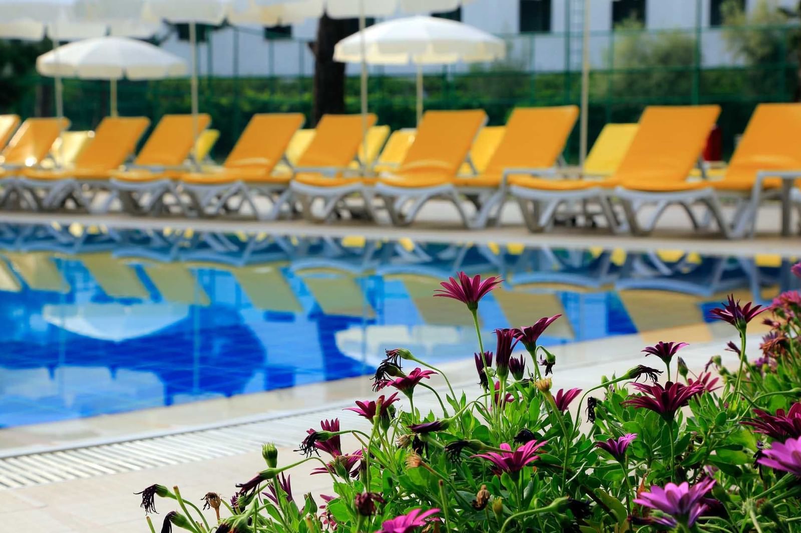 LABRANDA Hotels & Resorts | RFP