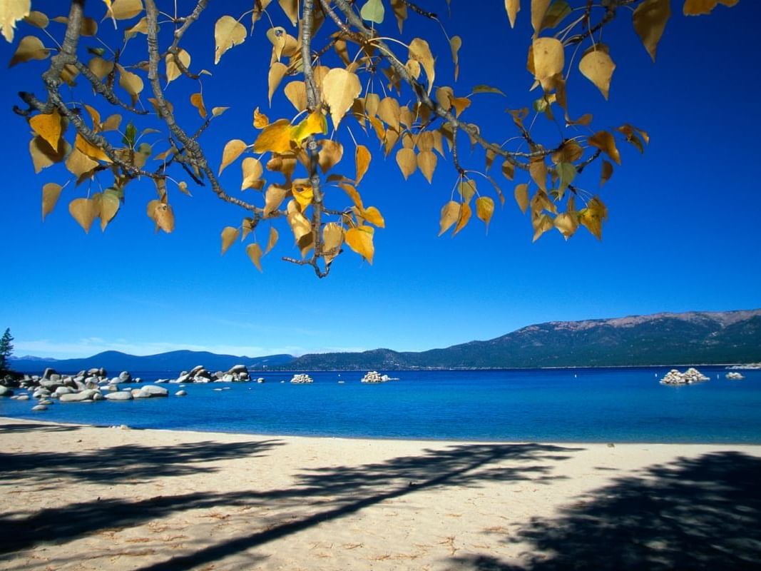 Sand Harbor | Granlibakken Tahoe