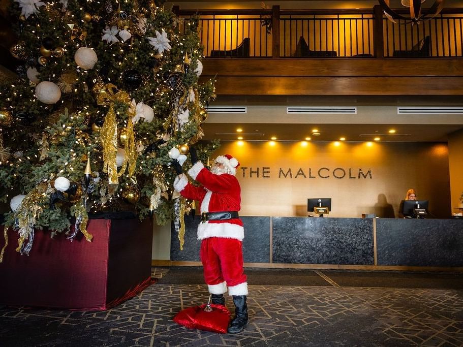 LIGHT UP THE BEAT | The Malcolm Hotel