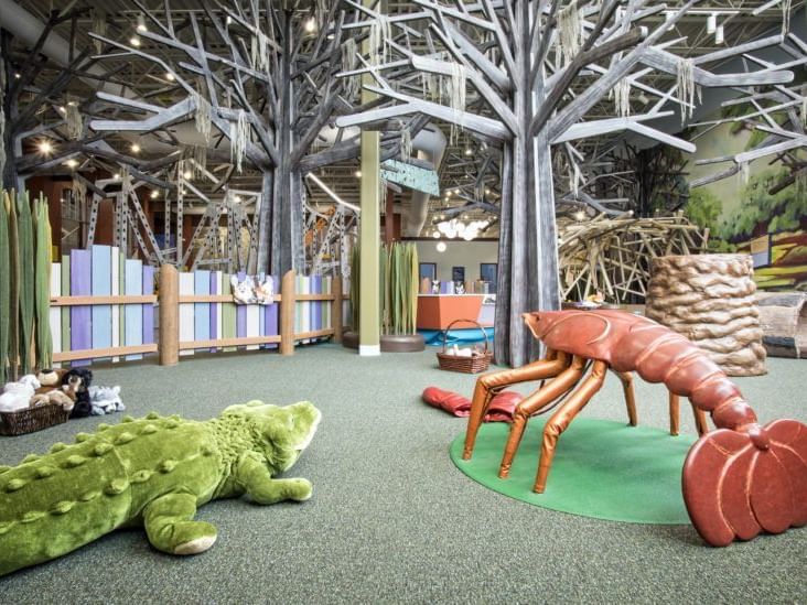 Knock Knock Children's Museum - The Cook Hotel