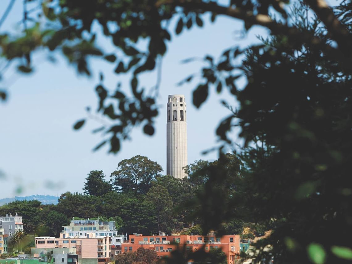 Discover Coit Tower | Hotel Griffon