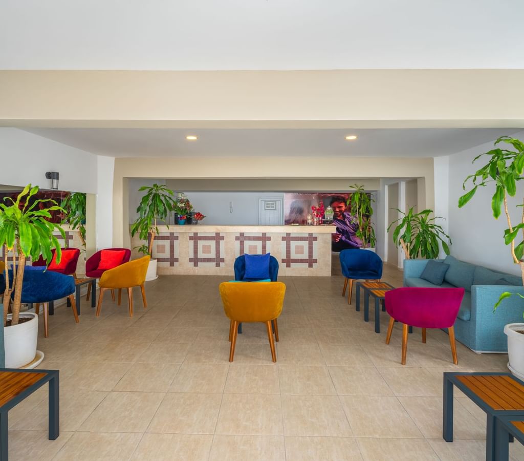 Mare Bar | Bars & Restaurants In Bodrum