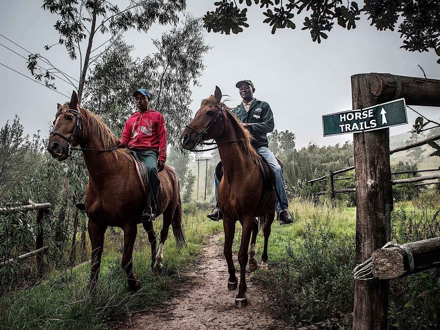 Horse Riding Qwantani Activities Horse Riding Qwantani Activities