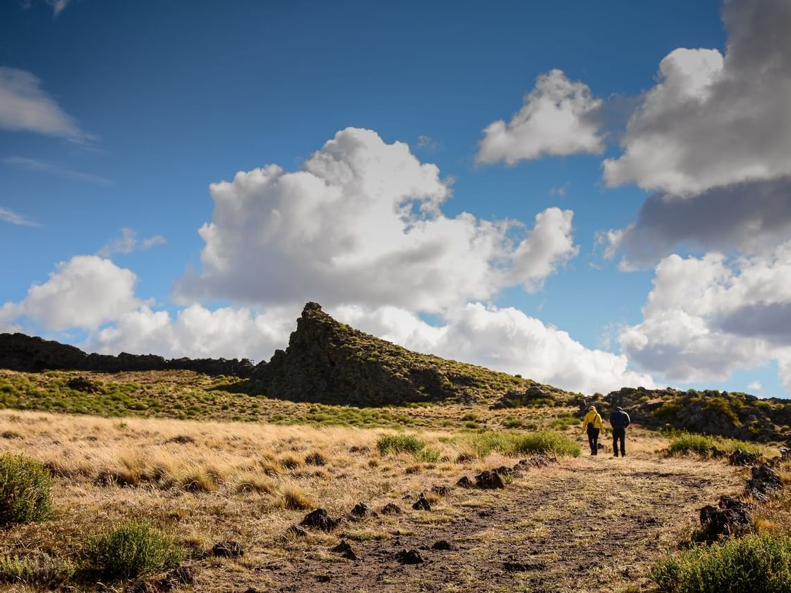 Descubra Parque Nacional Pali Aike | Hotel Cabo de Hornos