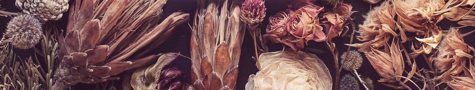 Trillium Restaurant - Downtown Boise Restaurant