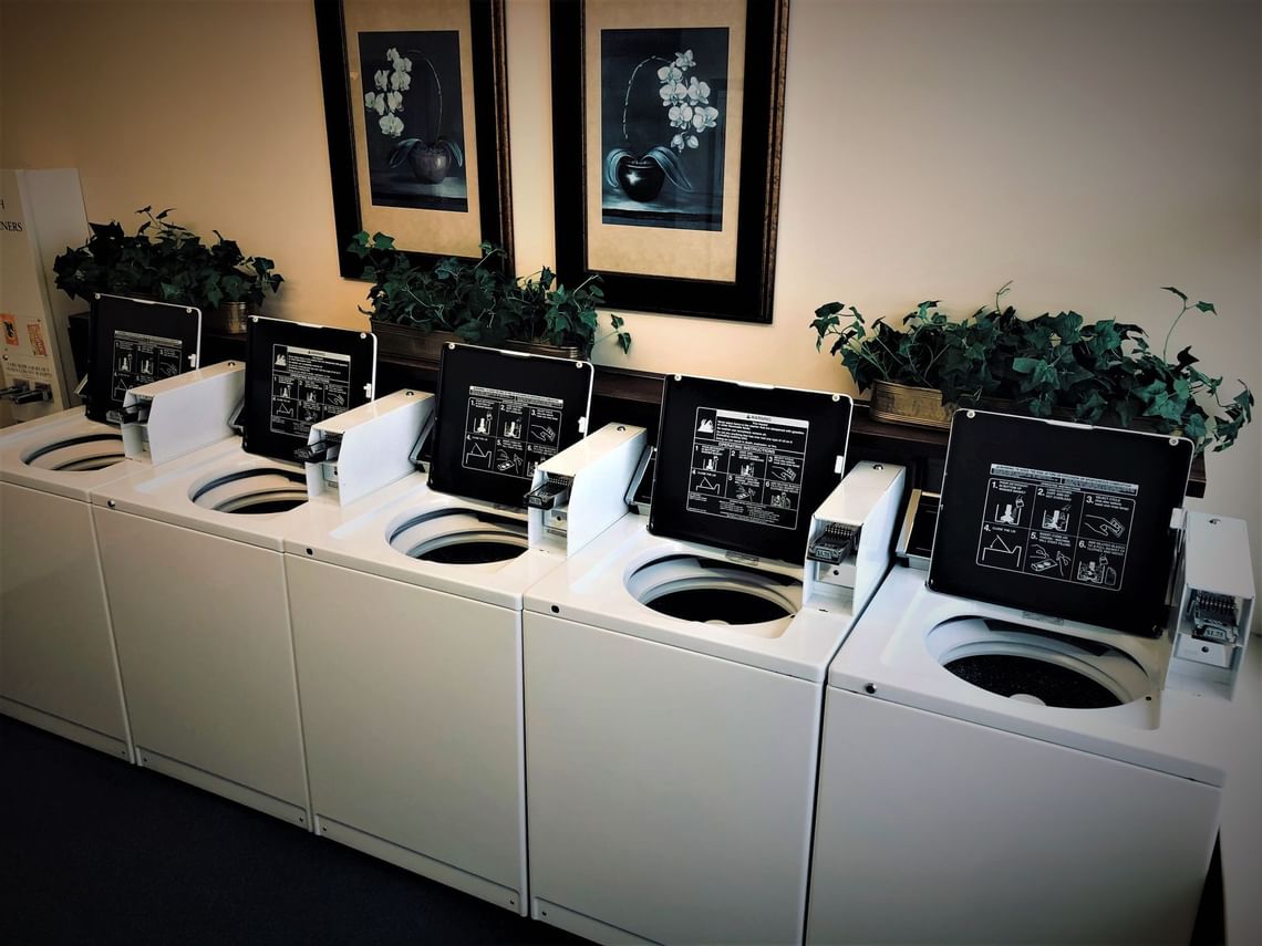 Guest Laundry and Dry Cleaning | Hotel at Old Town