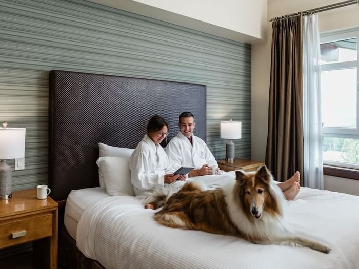 The Sutton Place Hotel Toronto - Downtown Hotel Toronto