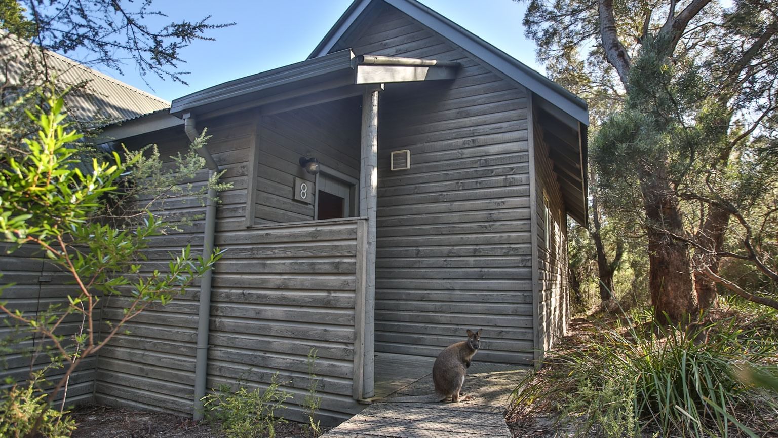One Room Cabin | Freycinet Lodge