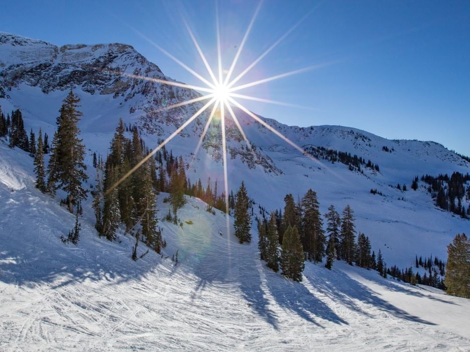 Offer Details | Crystal Inn Murray Midvalley