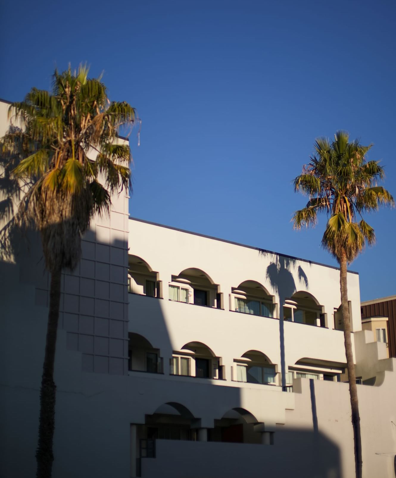 SoMa House & SoMa Social | Affordable Hotel in Downtown San Francisco
