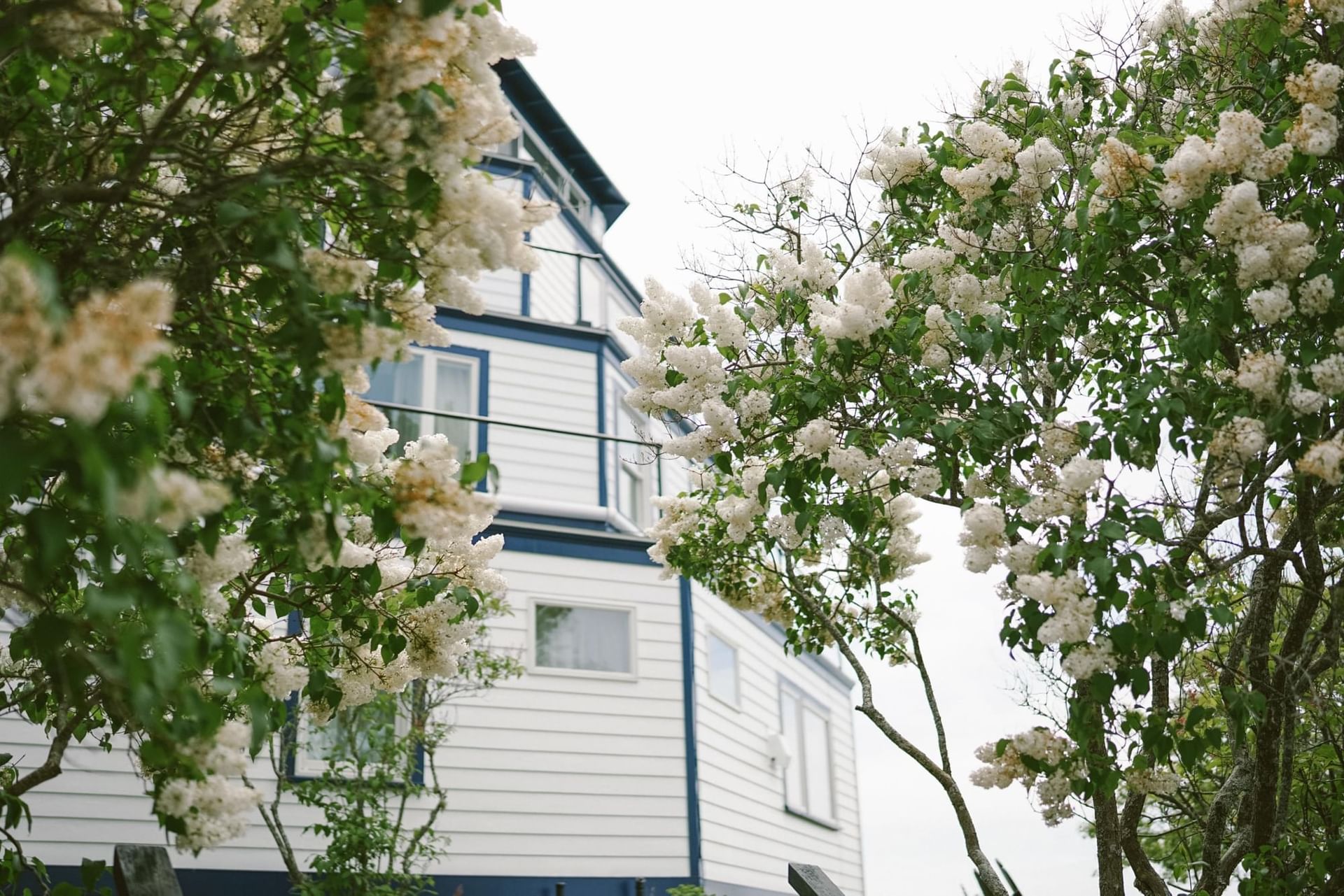 Experience Coastal Maine at Sebasco Harbor Resort in Phippsburg