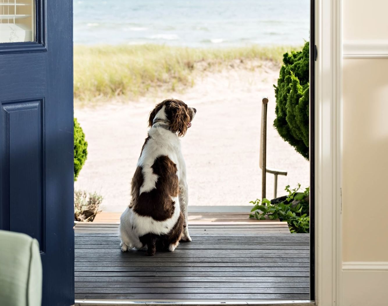 Chatham Tides Hotel | Hotels in Chatham MA