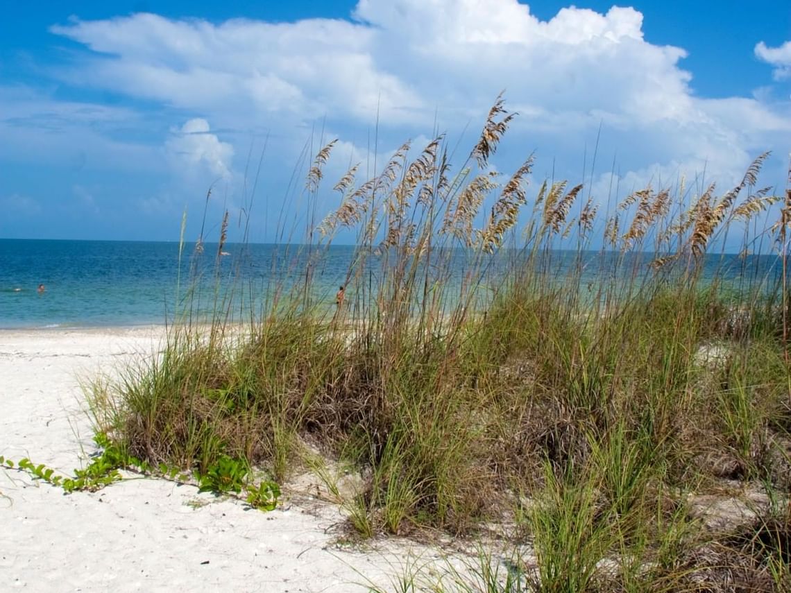 Delnor-Wiggins Pass State Park | Innovation Hotel Naples FL