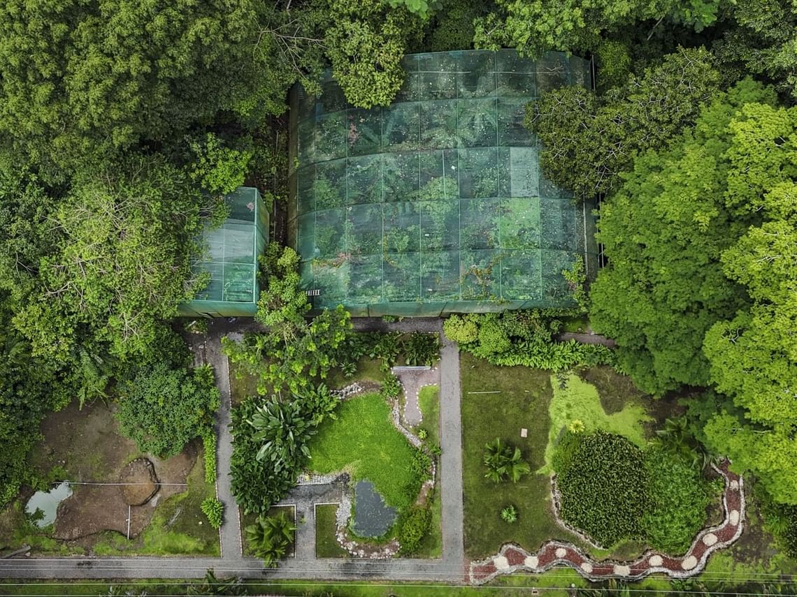 Butterfly Farm | Punta Leona Resort