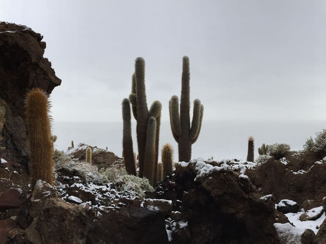 Incahuasi Island | {hotel}
