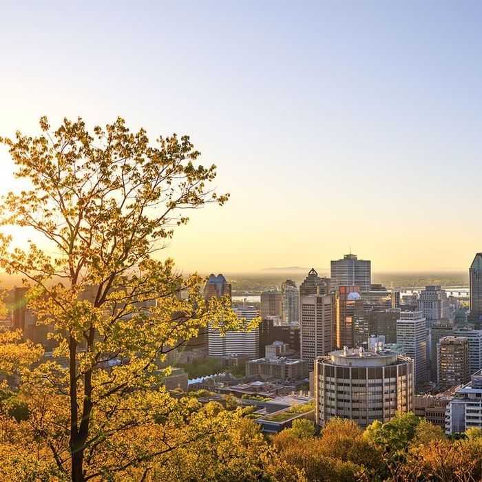 Things to do in Montreal | Warwick le Crystal Montreal