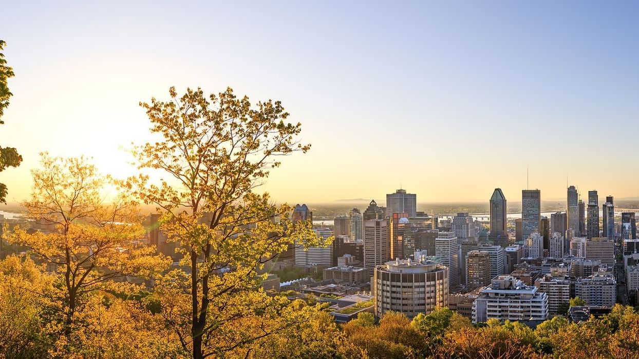 Things to do in Montreal | Warwick le Crystal Montreal