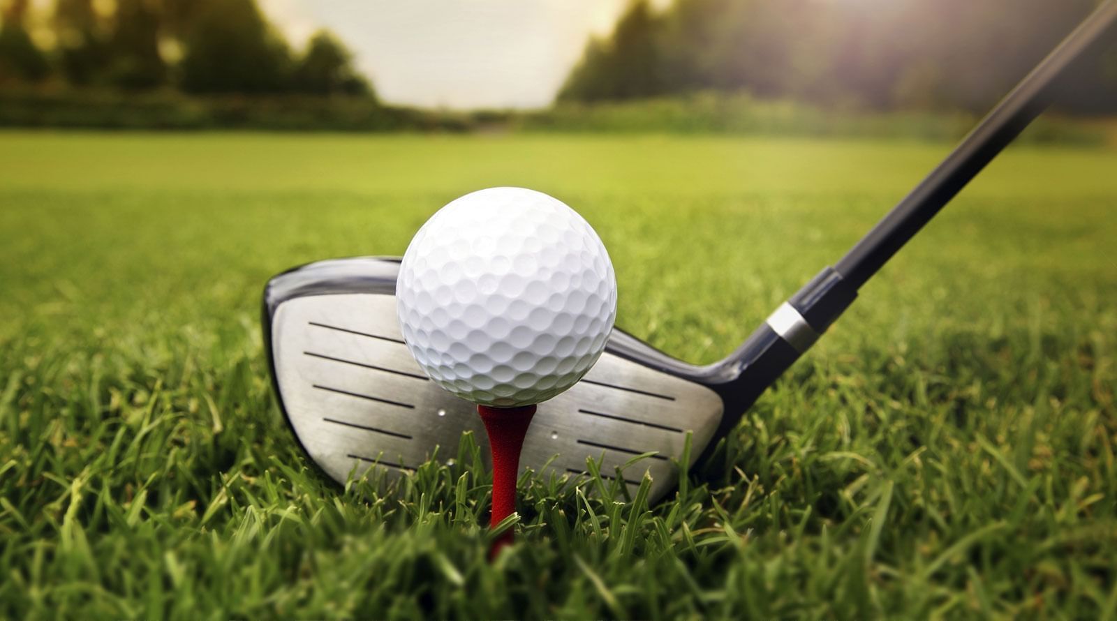 Things to Do in Silverton, Oregon - Oregon Garden Resort