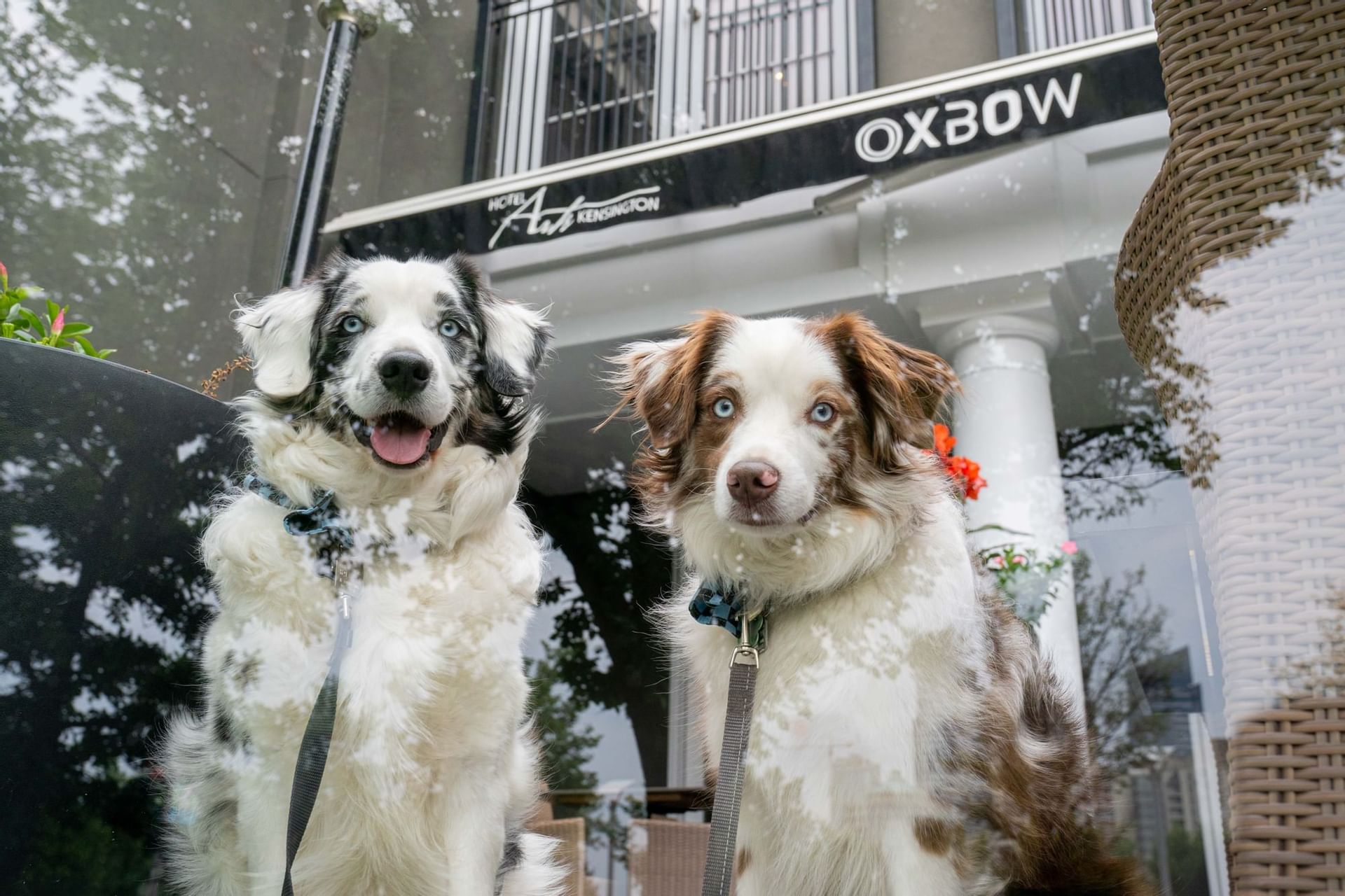 Oxbow | Restaurant in Downtown NW Calgary