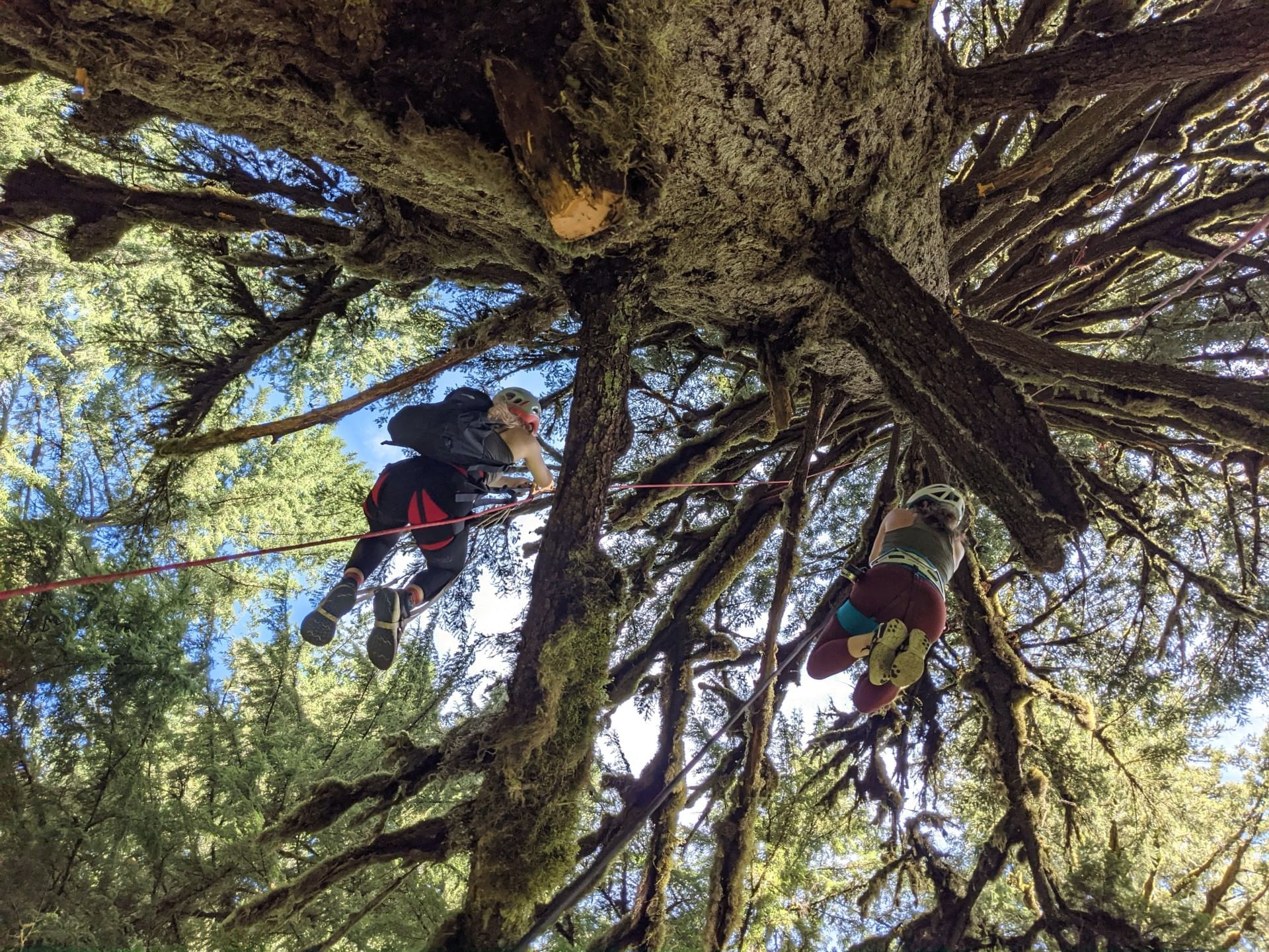 Things to Do in Silverton, Oregon - Oregon Garden Resort
