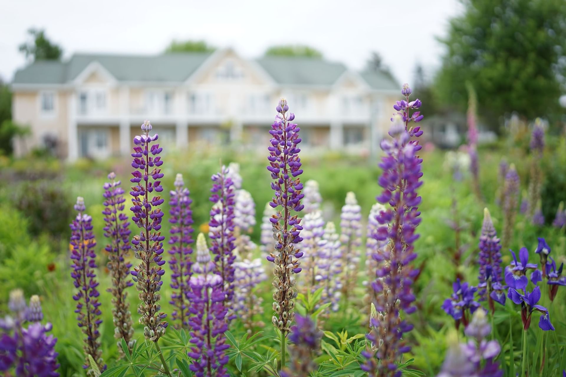Experience Coastal Maine at Sebasco Harbor Resort & Golf Club in Phippsburg