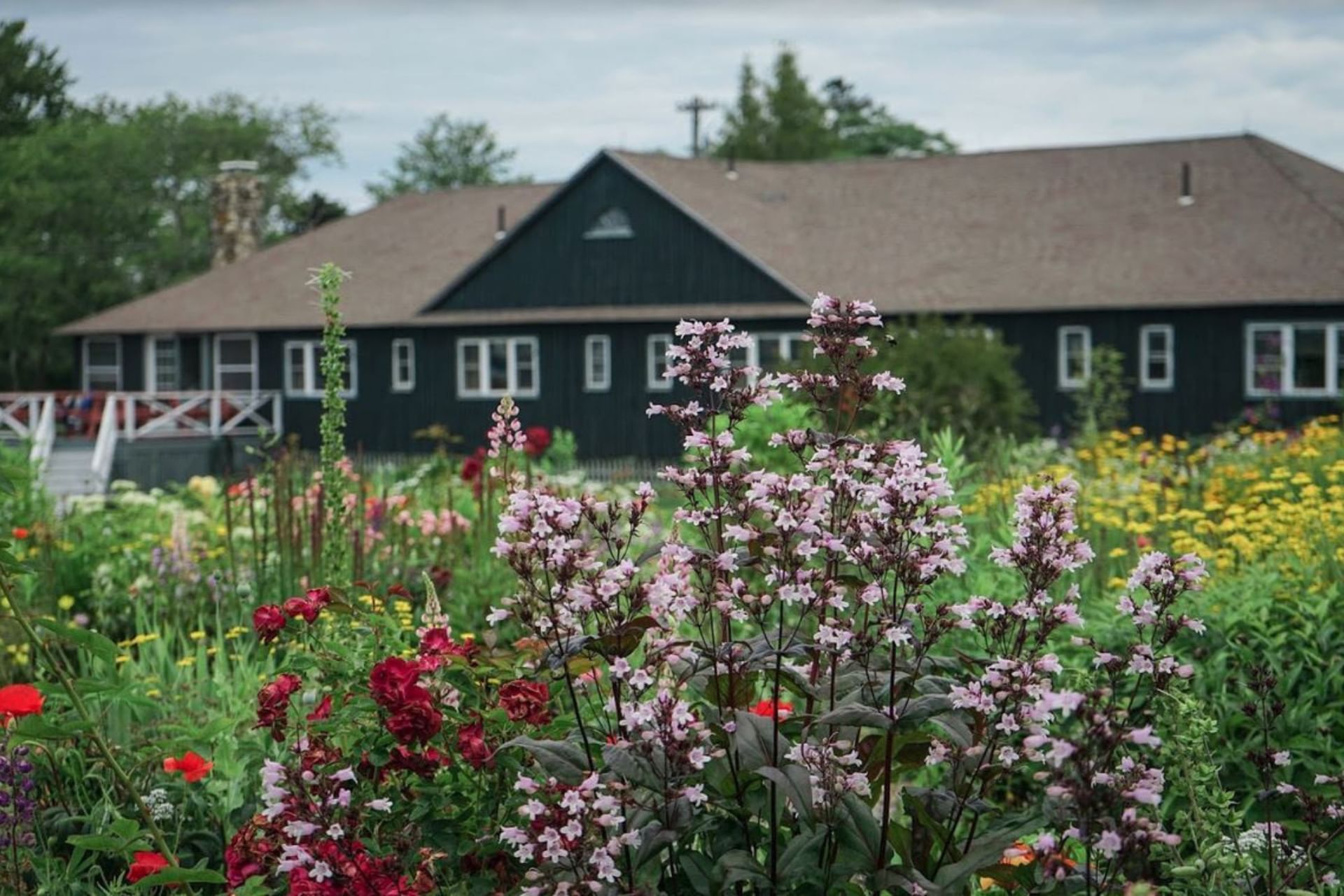 Timeless Coastal Maine Hotel | Sebasco Harbor Resort in Phippsburg