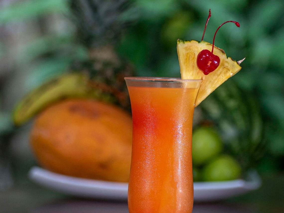Ficus Coffee Shop & Bar - In the Heart of the Forest