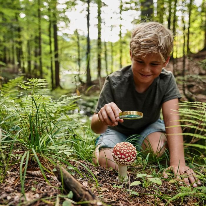 FUNtastic Weekends | Falkensteiner Group