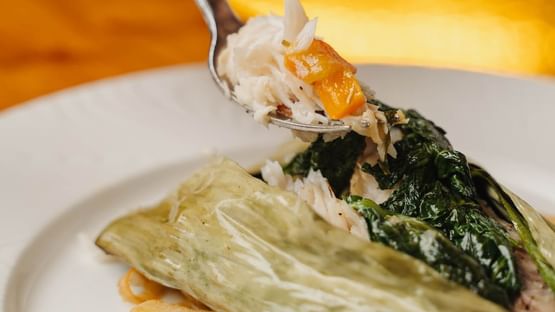 Detalles del Alimentación Indura Resort Bazul