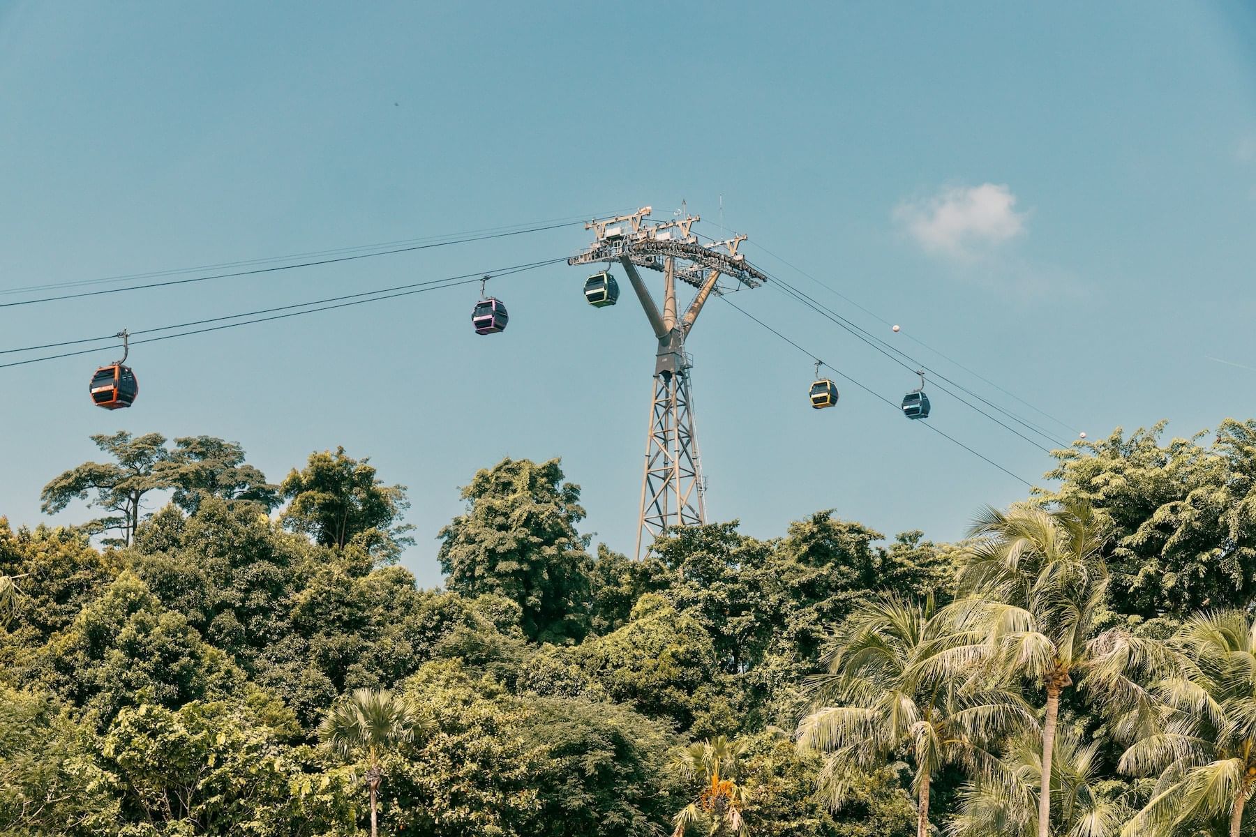 Amara Sanctuary Resort Sentosa | 5-star Heritage Hotel Singapore