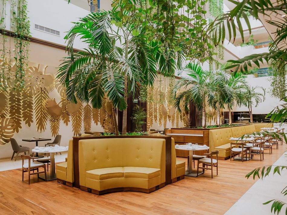 The Reef 28 | Restaurants in Playa Del Carmen