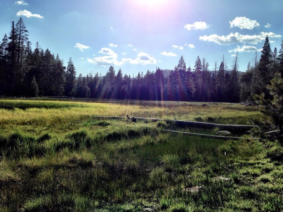 Paige Meadows Loop | Granlibakken Tahoe