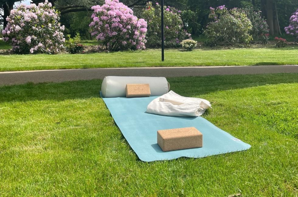 Canopy Yoga