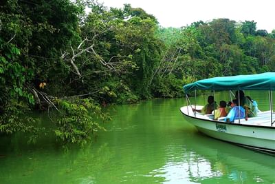 Photo Gallery | Gamboa Rainforest Reserve | Gamboa, Panama
