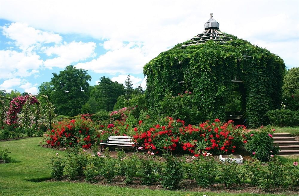 Connecticut Bed & Breakfast | Simsbury 1820 House