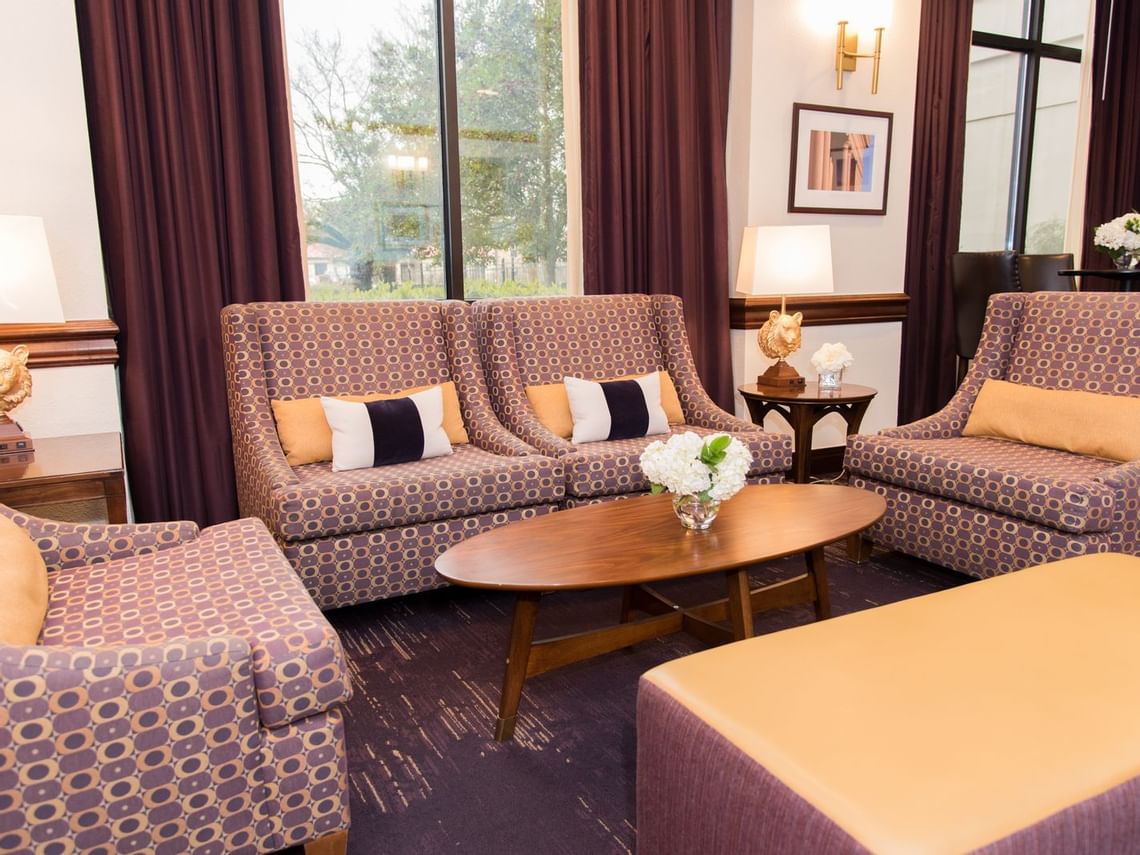 The Bar at The Cook Hotel - The Cook Hotel