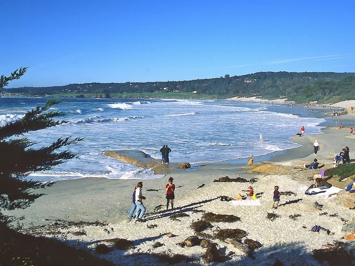 Carmel Beach | Normandy Inn