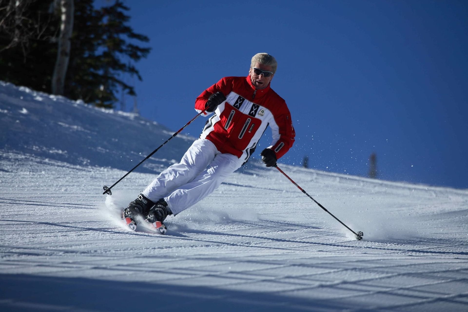 Stein Collection FAQ | Frequently Asked Questions | Park City