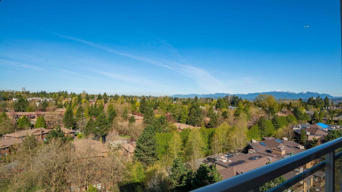 Penthouse Suite, 1 King, Sofa Bed, Kitchen, Top Floor | Sandman Surrey ...